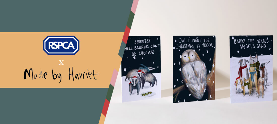 thortful x RSPCA Christmas Card Collaboration - thortful