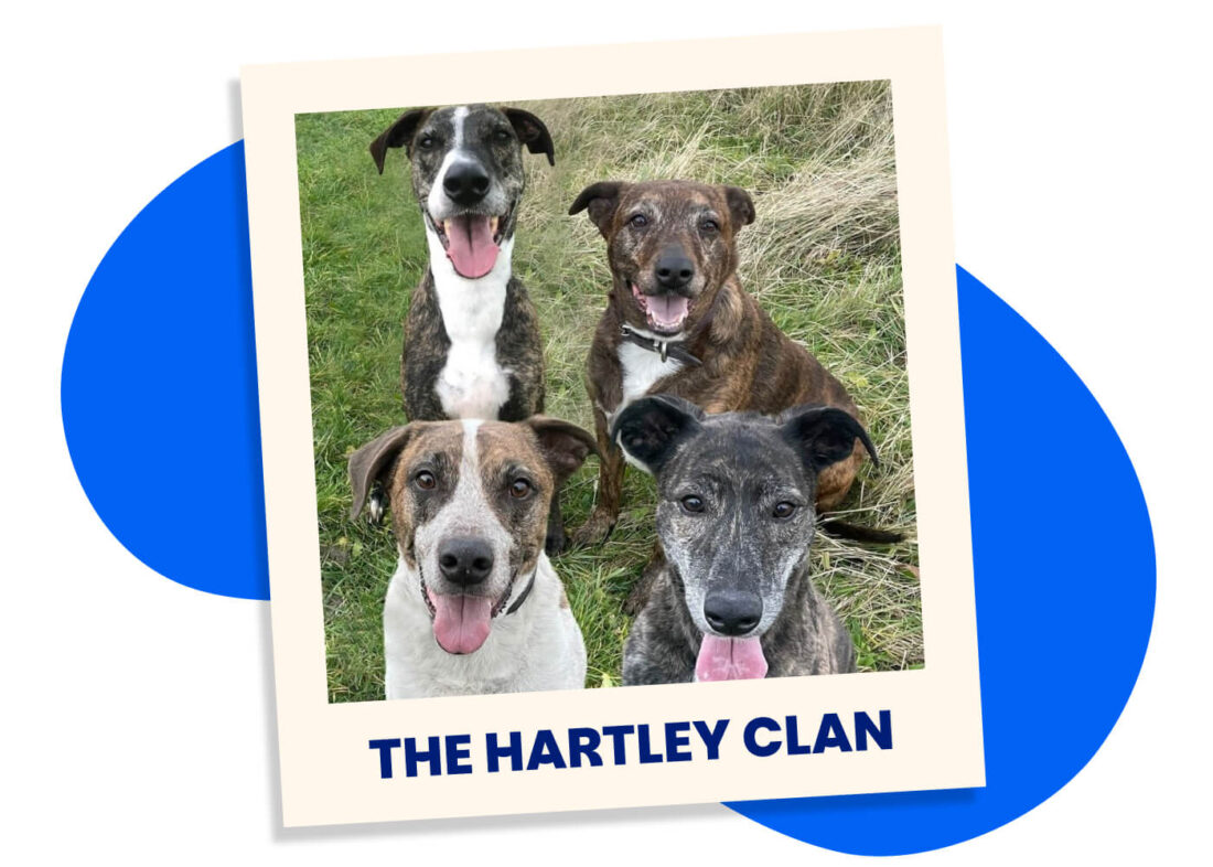 Paws for thortful: our pet project - thortful