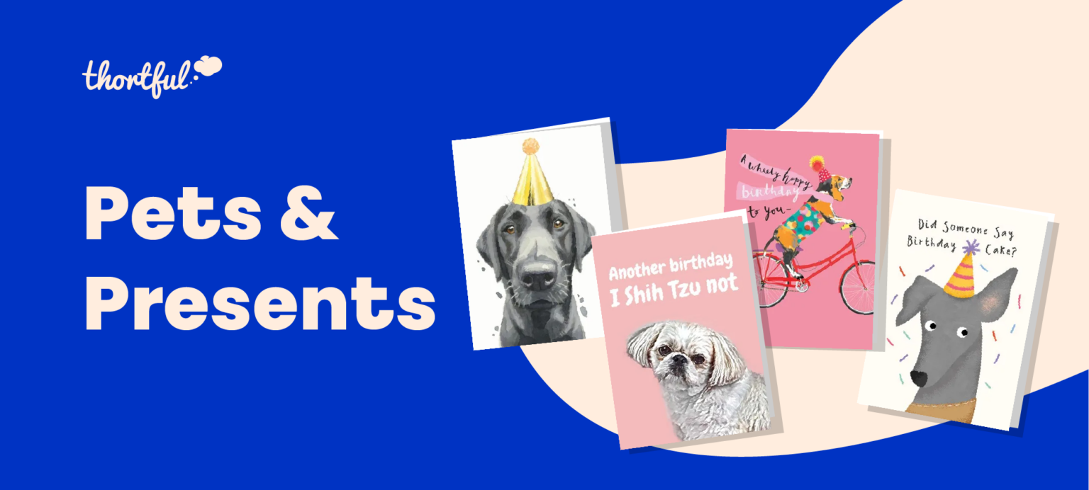 How Much Are Brits Spending on Their Pet’s Birthday? | thortful