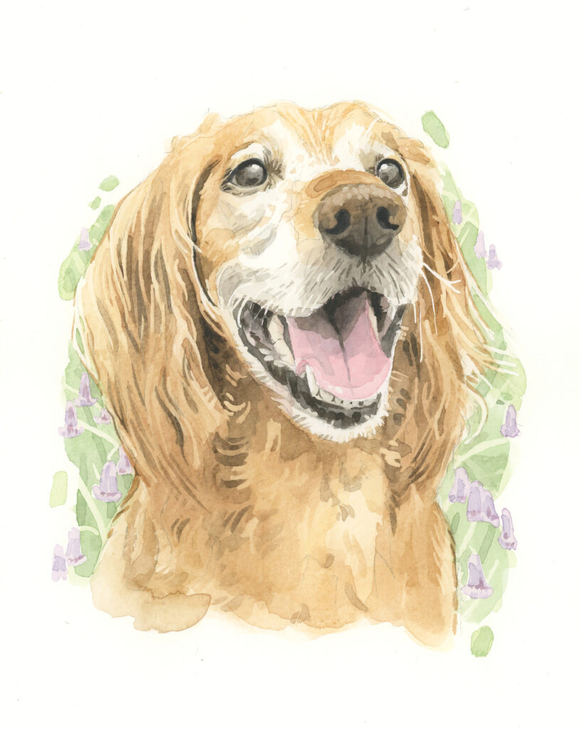 Creator Spotlight: Robert James Hull